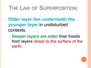 Unit 6 history of life on earth | PPTX
