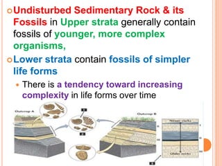Unit 6 history of life on earth | PPTX