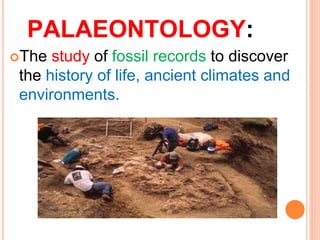 Unit 6 history of life on earth | PPTX