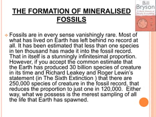 Unit 6 history of life on earth | PPTX
