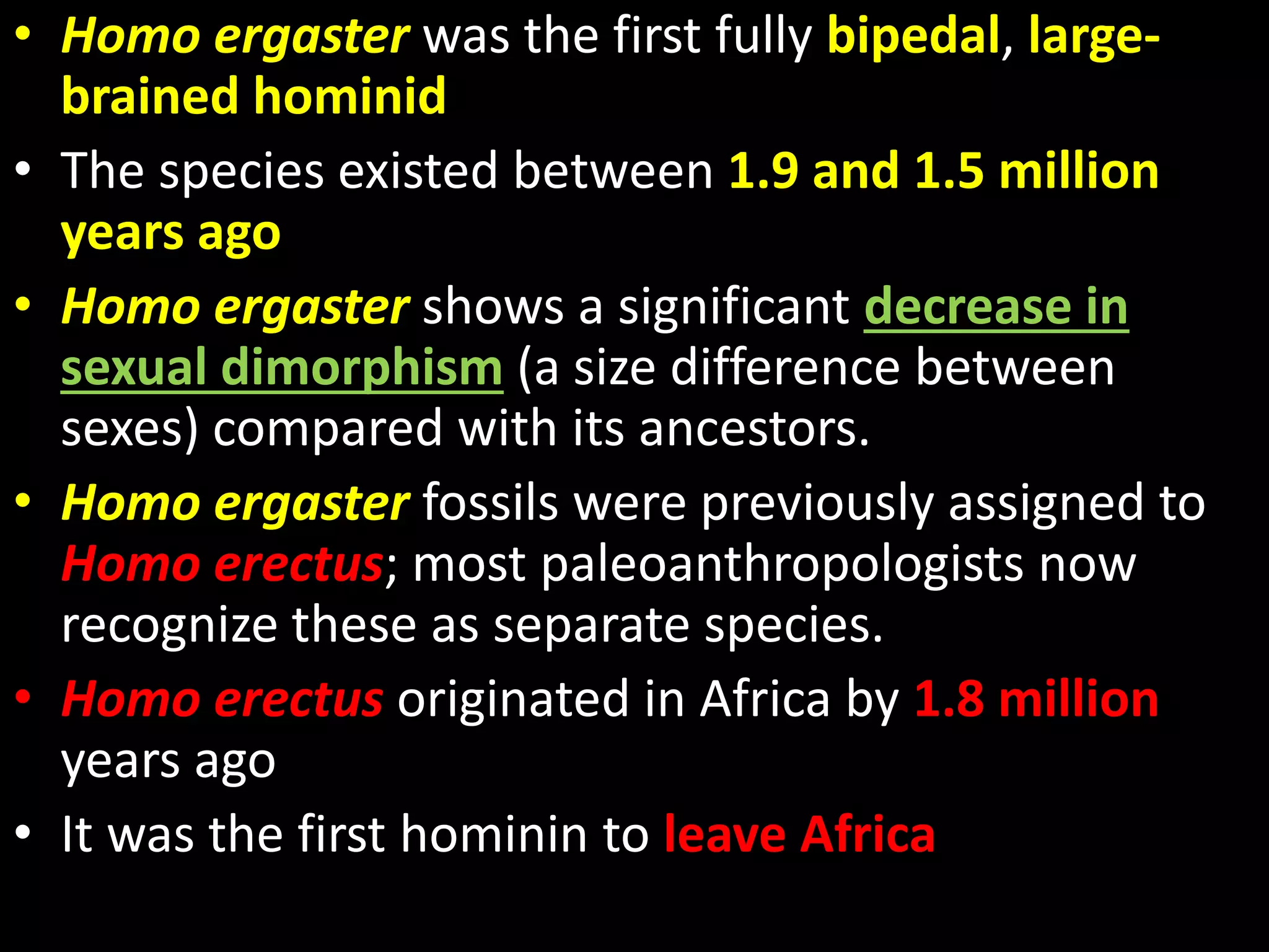 human evolution biology | PPTX