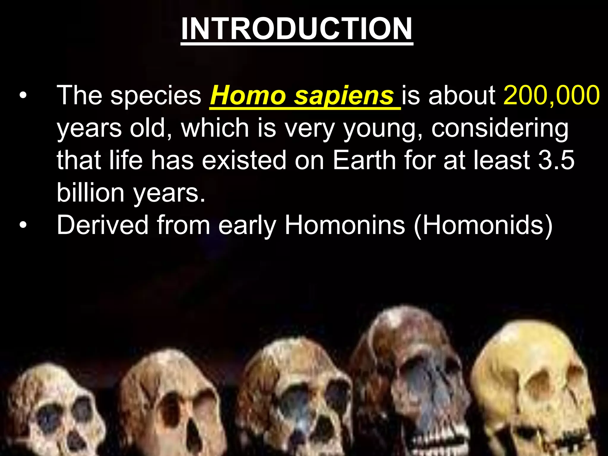 human evolution biology | PPTX