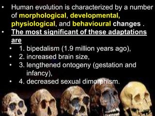 Unit 6 human evolution a | PPTX