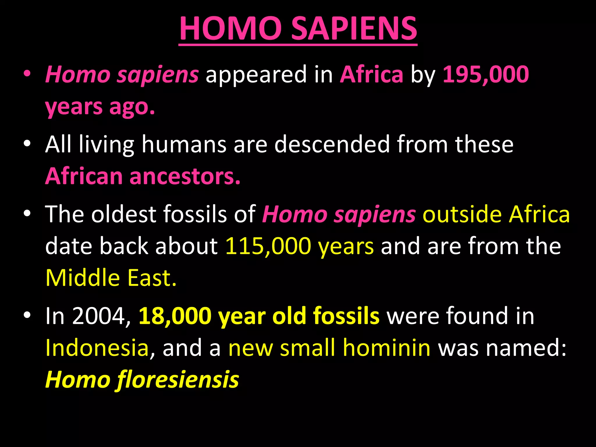 human evolution | PPTX