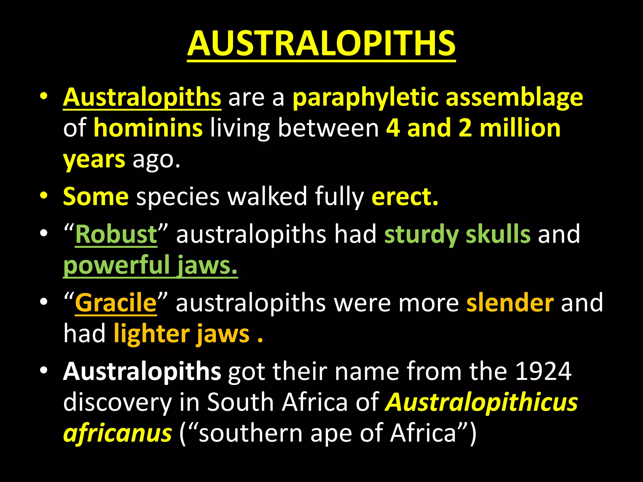 human evolution | PPTX