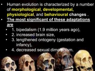 human evolution | PPTX | Geology | Science
