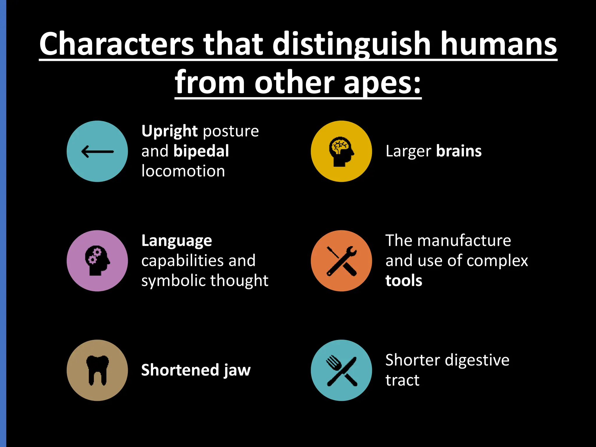 Unit 6_Human Evolution_Complete.pptx