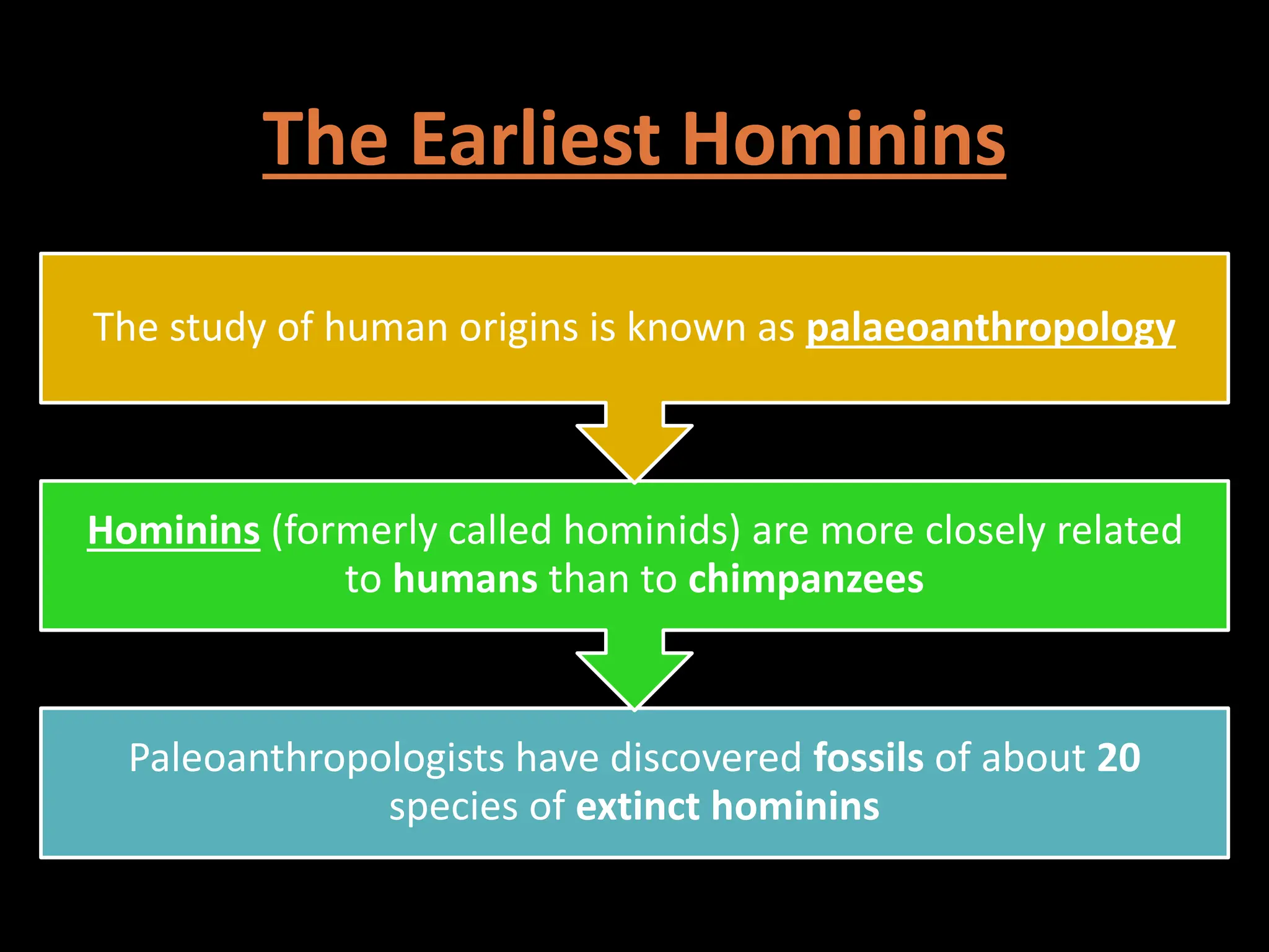 Unit 6_Human Evolution_Complete.pptx