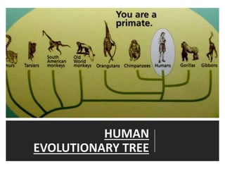 Unit 6_Human Evolution_Complete.pptx