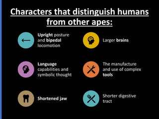Unit 6_Human Evolution_Complete.pptx