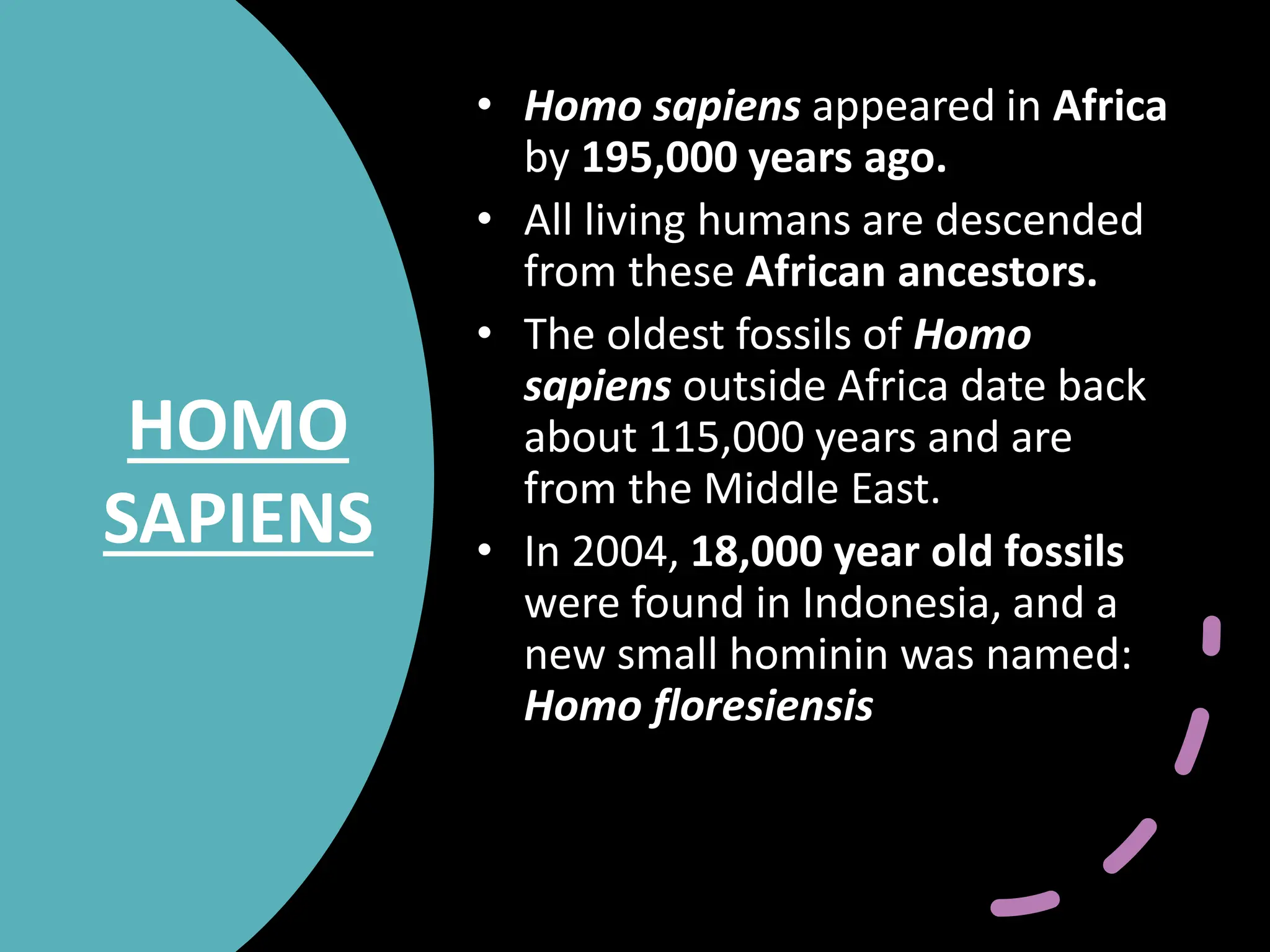 Human Evolution | PPT