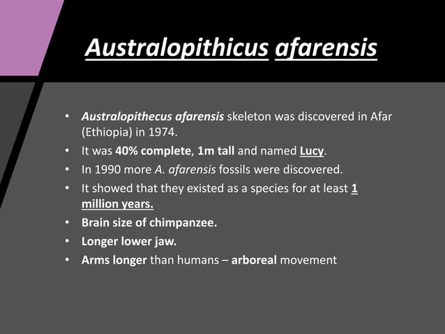 Human Evolution | PPT