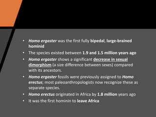 Human Evolution | PPTX