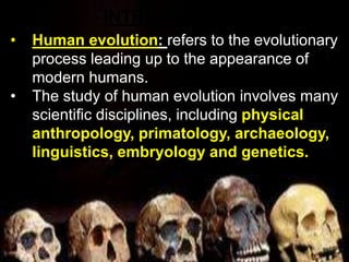 Human Evolution | PPT