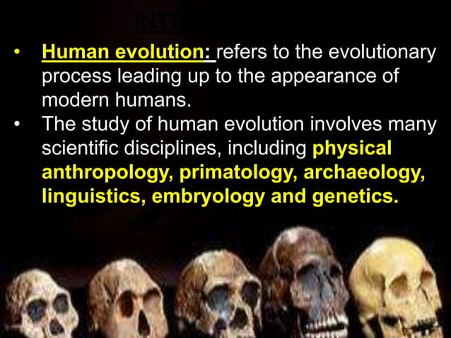 Human Evolution | PPT