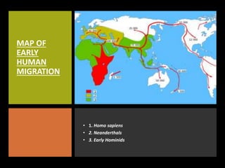 Human Evolution | PPT