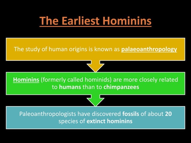 Human Evolution | PPT