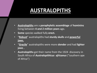Human Evolution | PPT