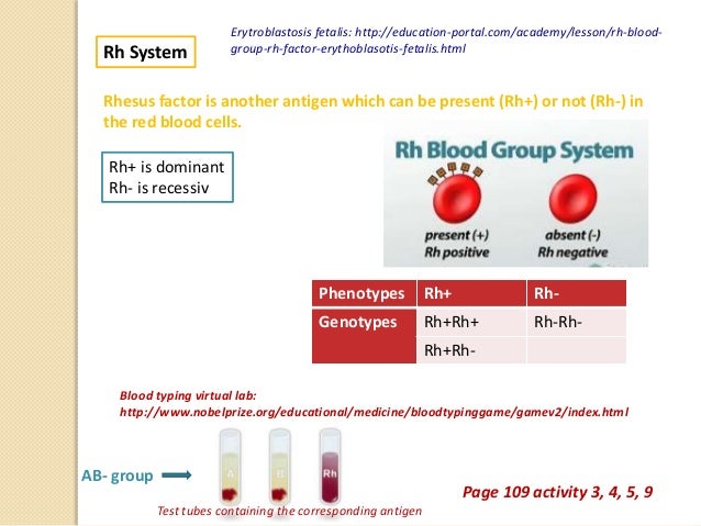 Unit 6 Human Genetics