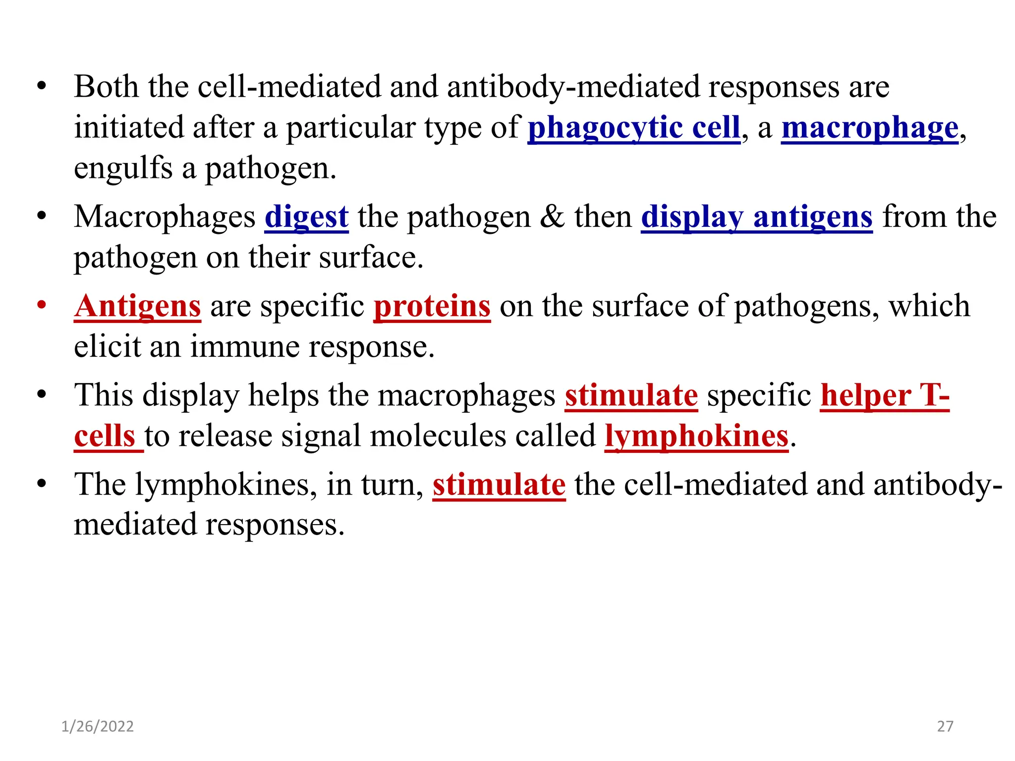 Unit 6 Infectious diseases & immunity - shortend.pdf