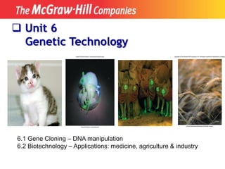 Gene Cloning (Genetic technology,Biotechnology).pdf | Biotech and ...