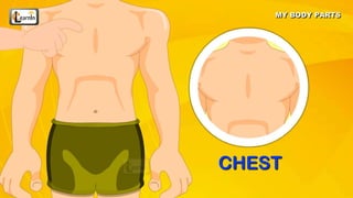 parts of my body | PPTX