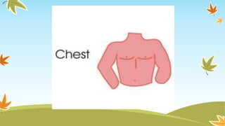 parts of my body | PPTX