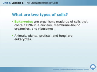 Unit 6 Lesson 1 Parts and Functions of Cells | PPT