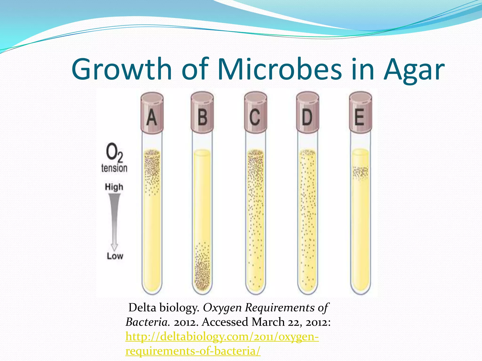 Unit 6 microbial growth pp | PPTX