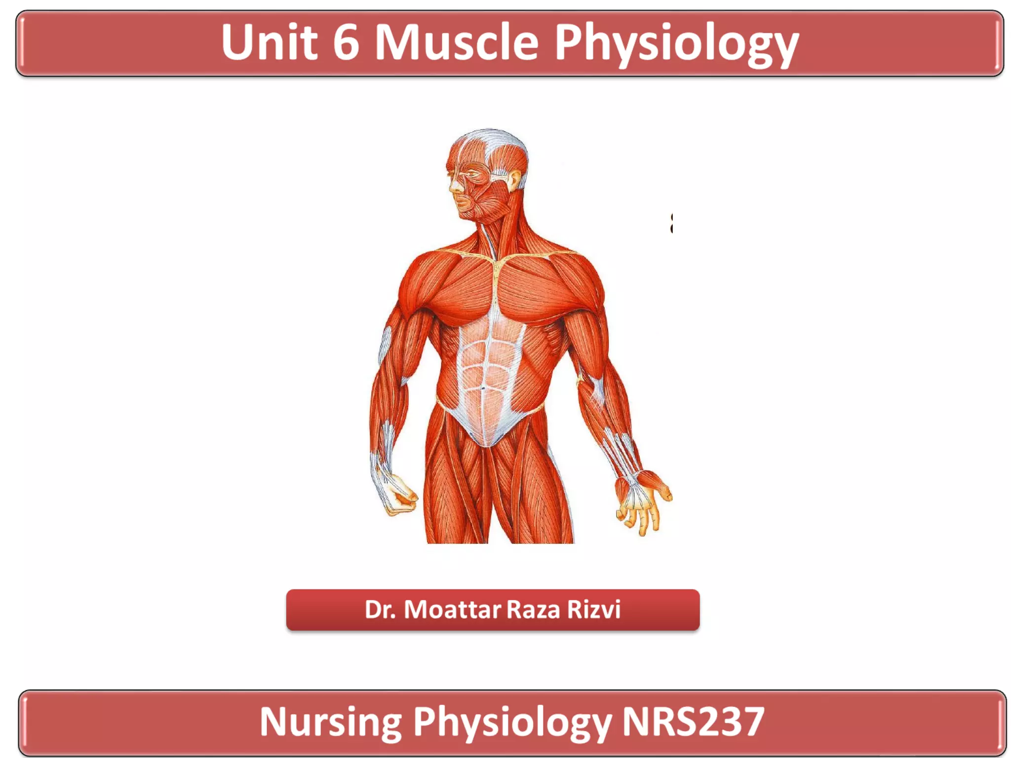 Unit 6 muscular system | PPT