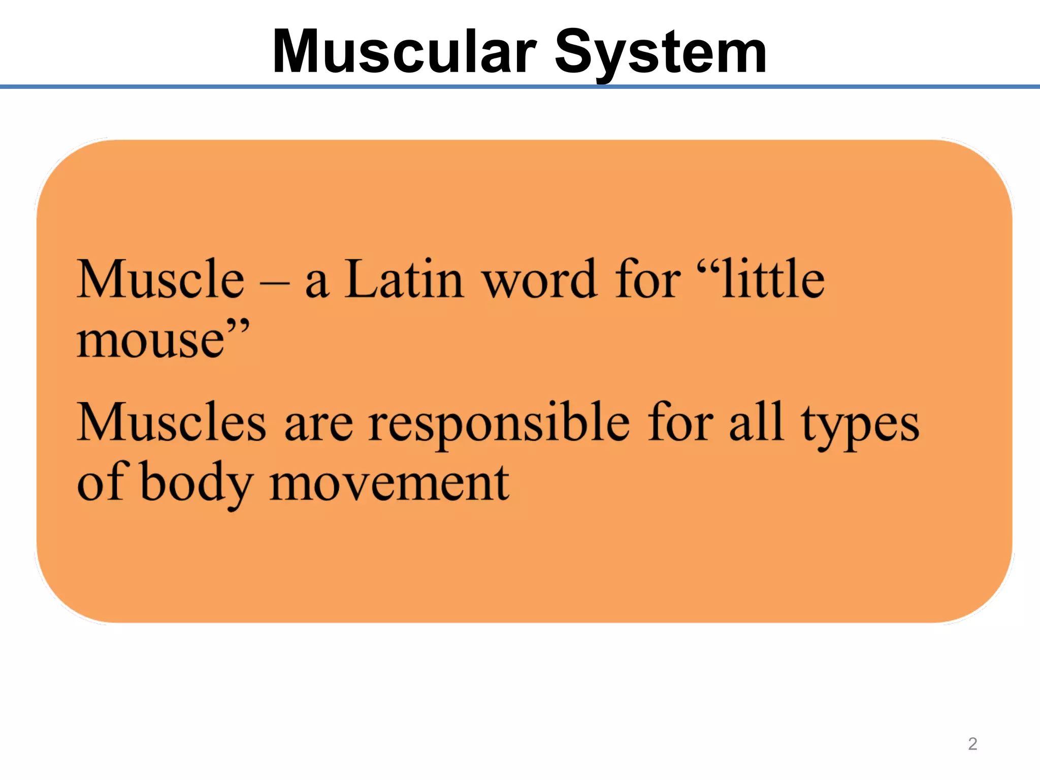Unit 6 muscular system | PPT