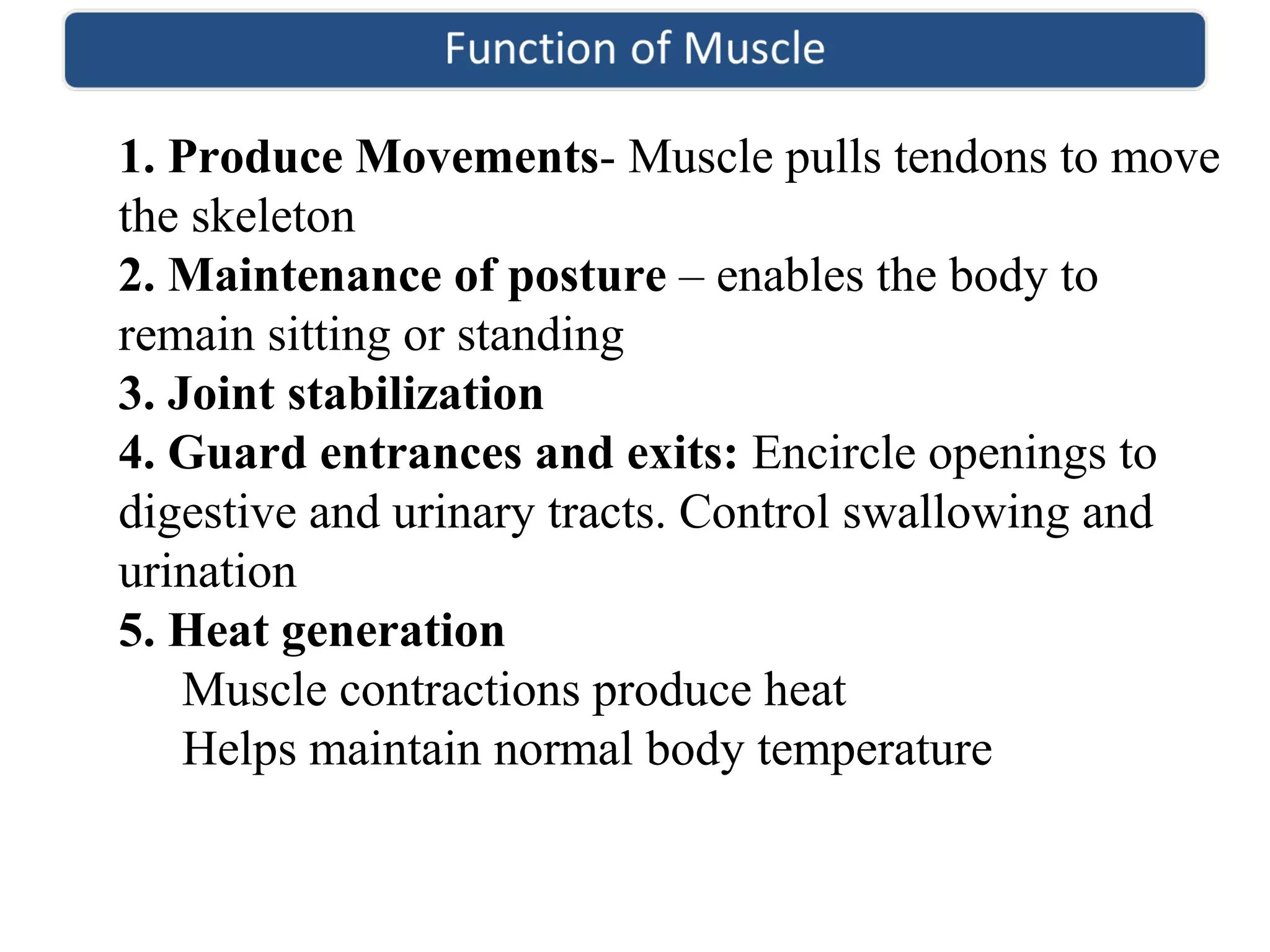 Unit 6 muscular system | PPT