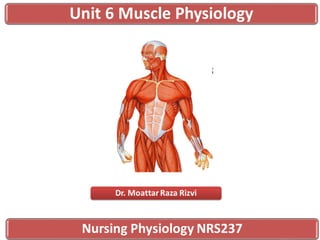 Unit 6 muscular system | PPT