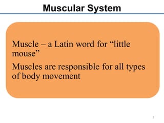 Unit 6 muscular system | PPT