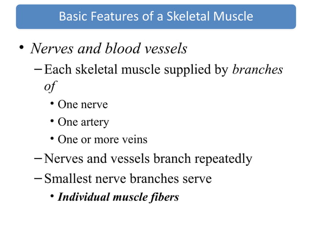 Unit 6 muscular system | PPT