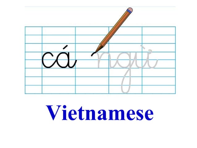 Unit 6 my school timetable | PPT