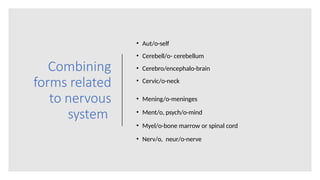 unit 6 nervous system final (2) (4).pptx
