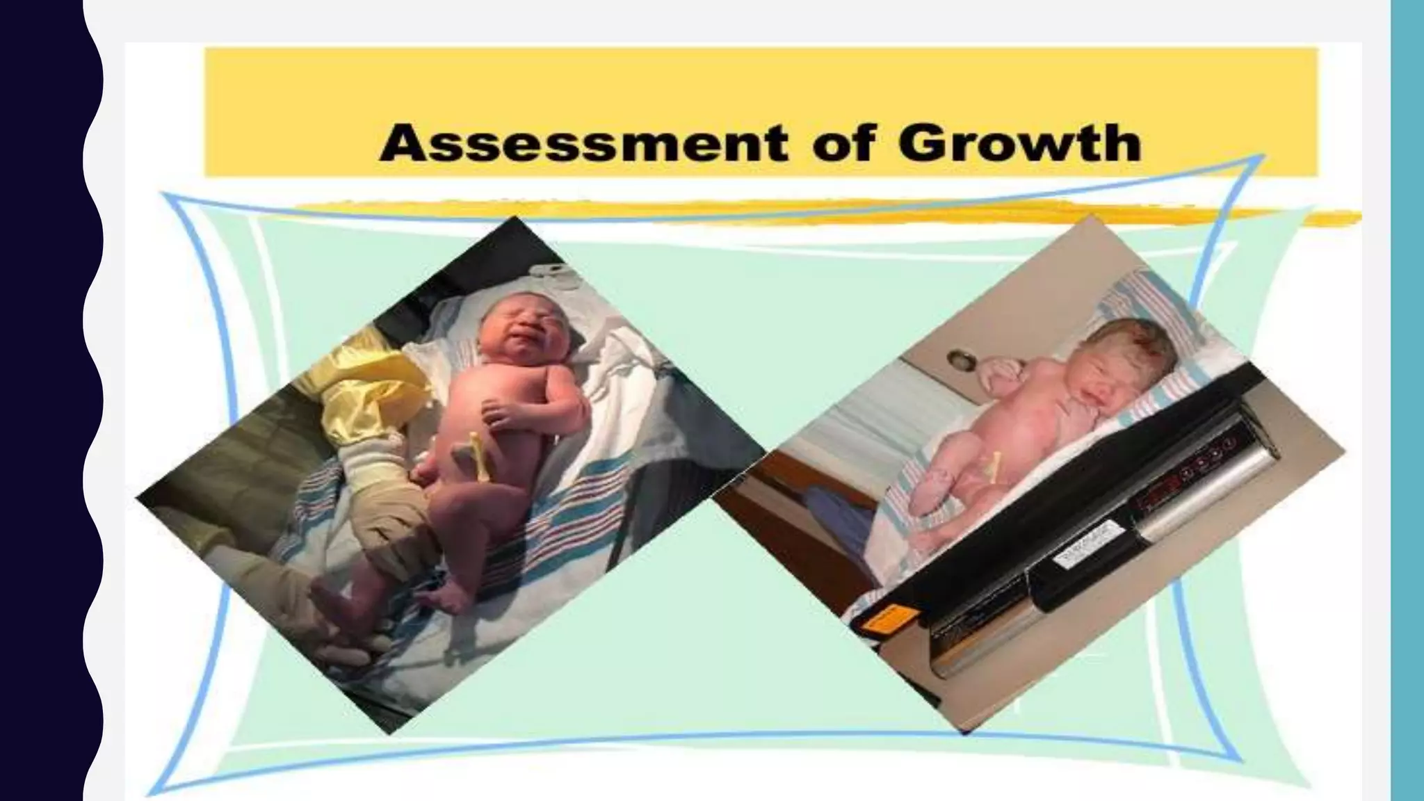 Normal Neonates | PPTX