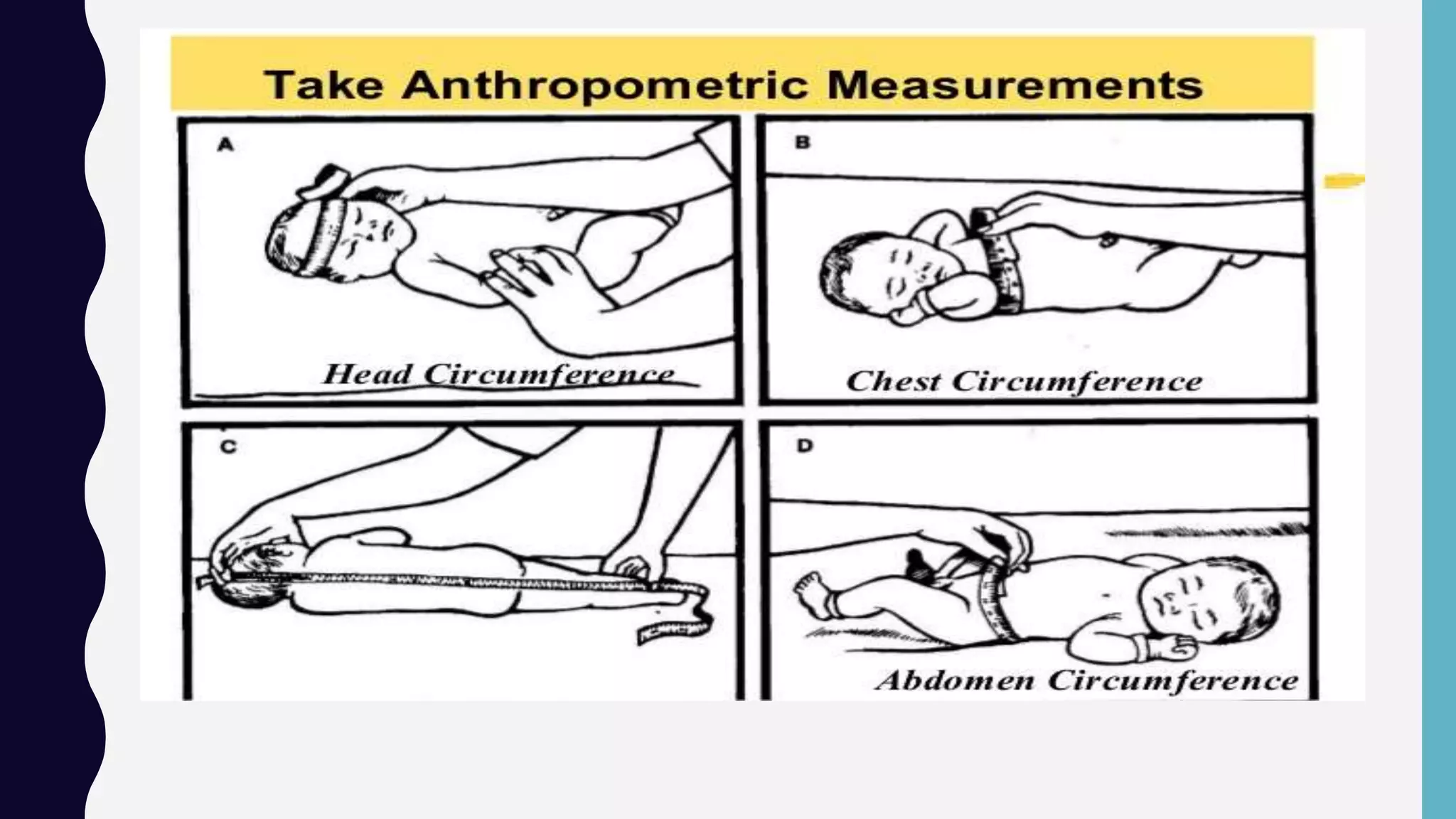 Normal Neonates | PPTX
