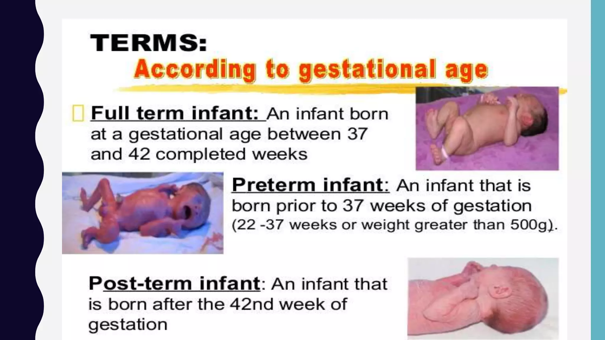 Normal Neonates | PPTX