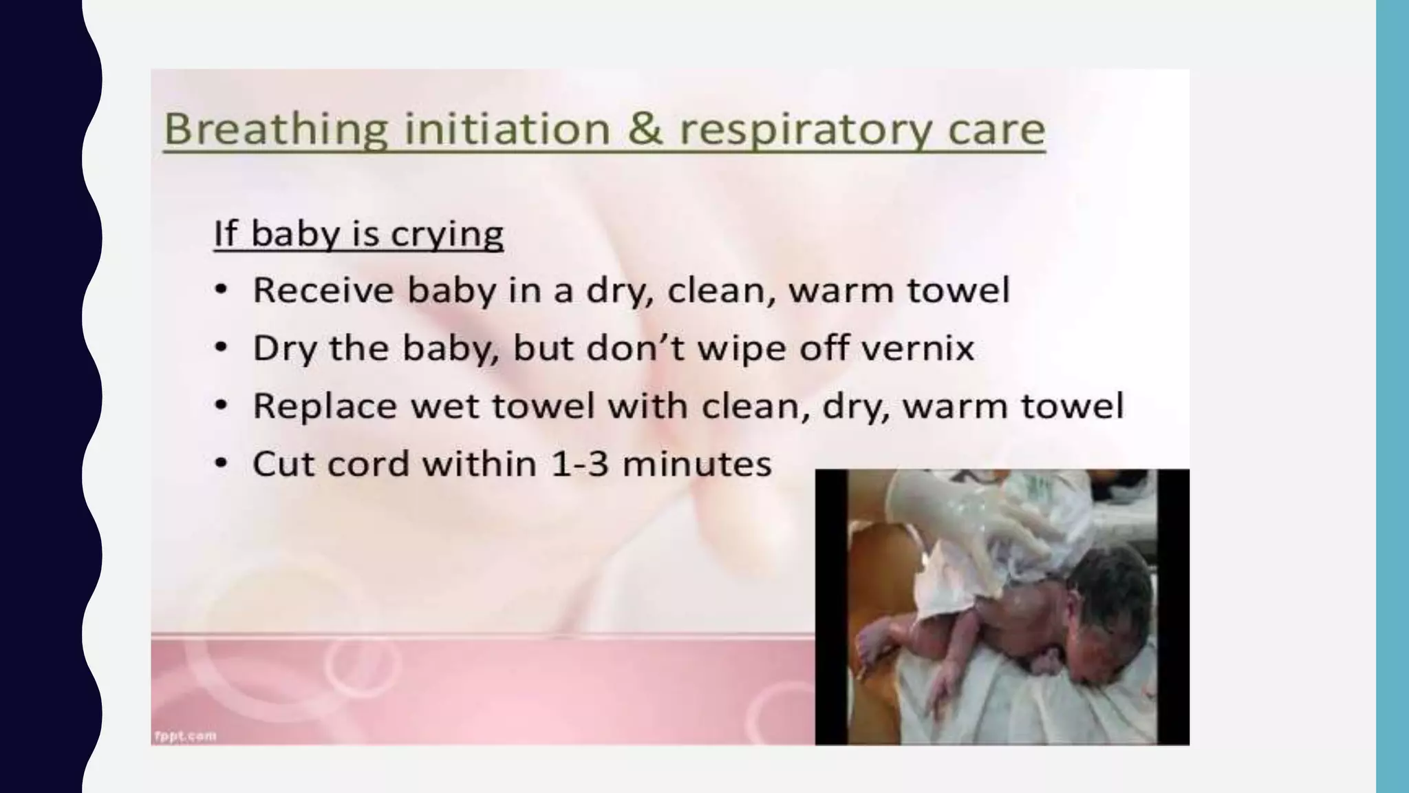 Normal Neonates | PPTX