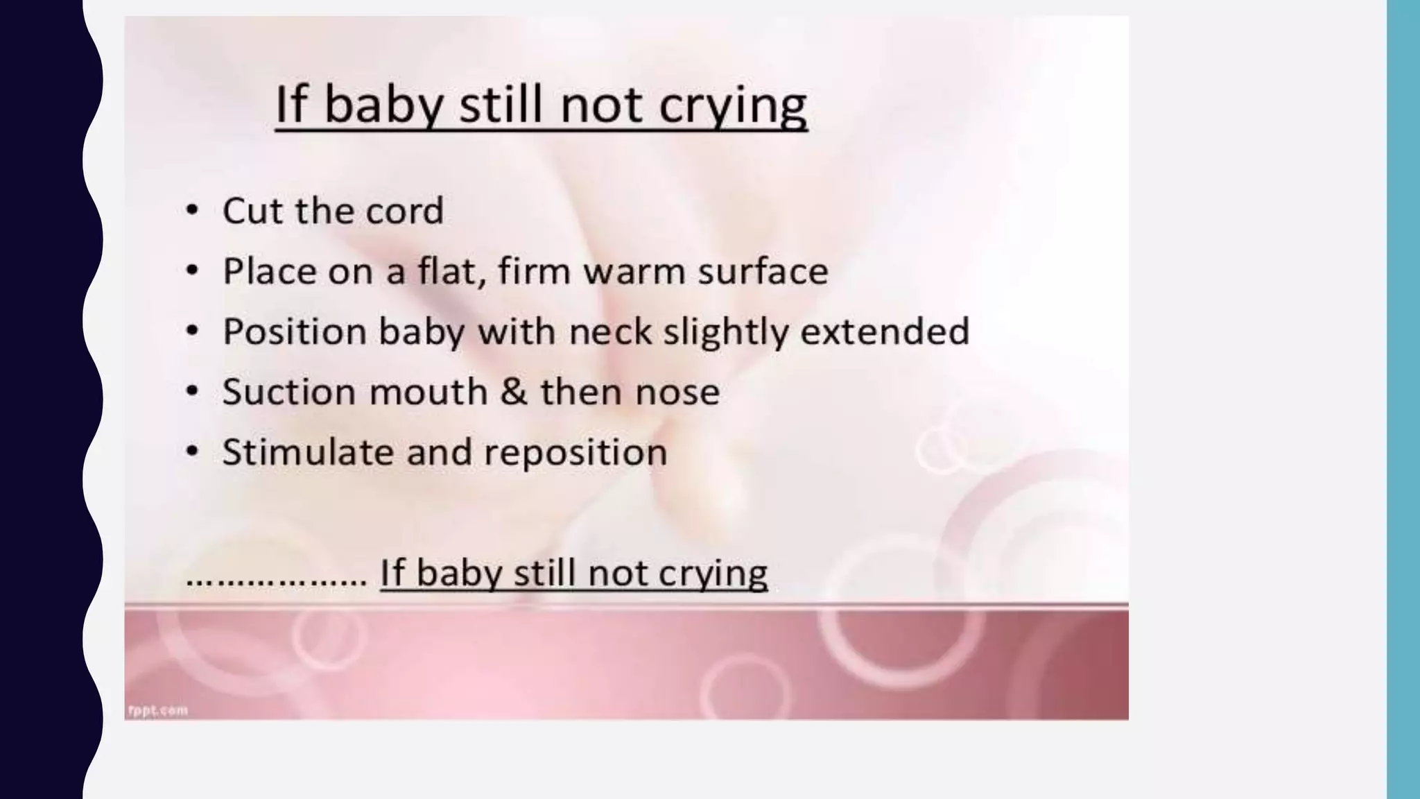 Normal Neonates | PPTX