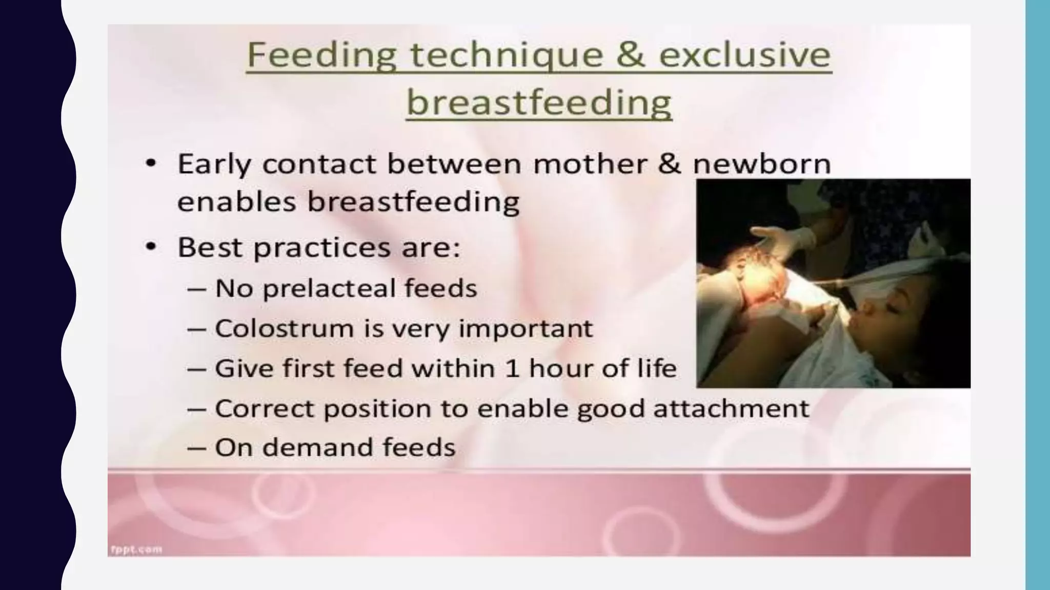 Normal Neonates | PPTX