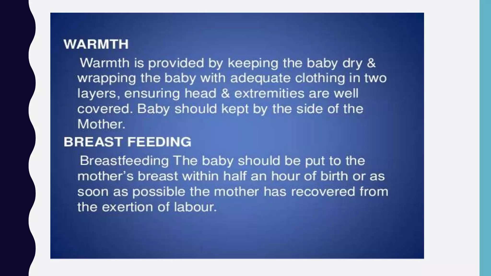 Normal Neonates | PPTX