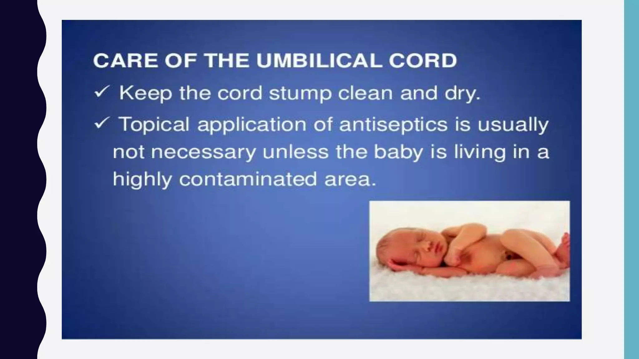Normal Neonates | PPTX