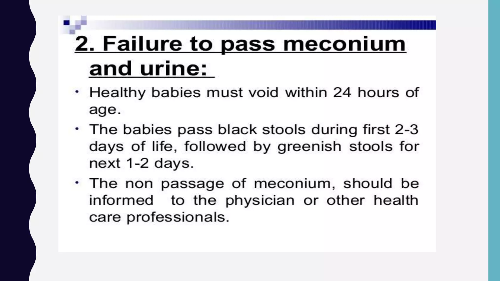 Normal Neonates | PPTX