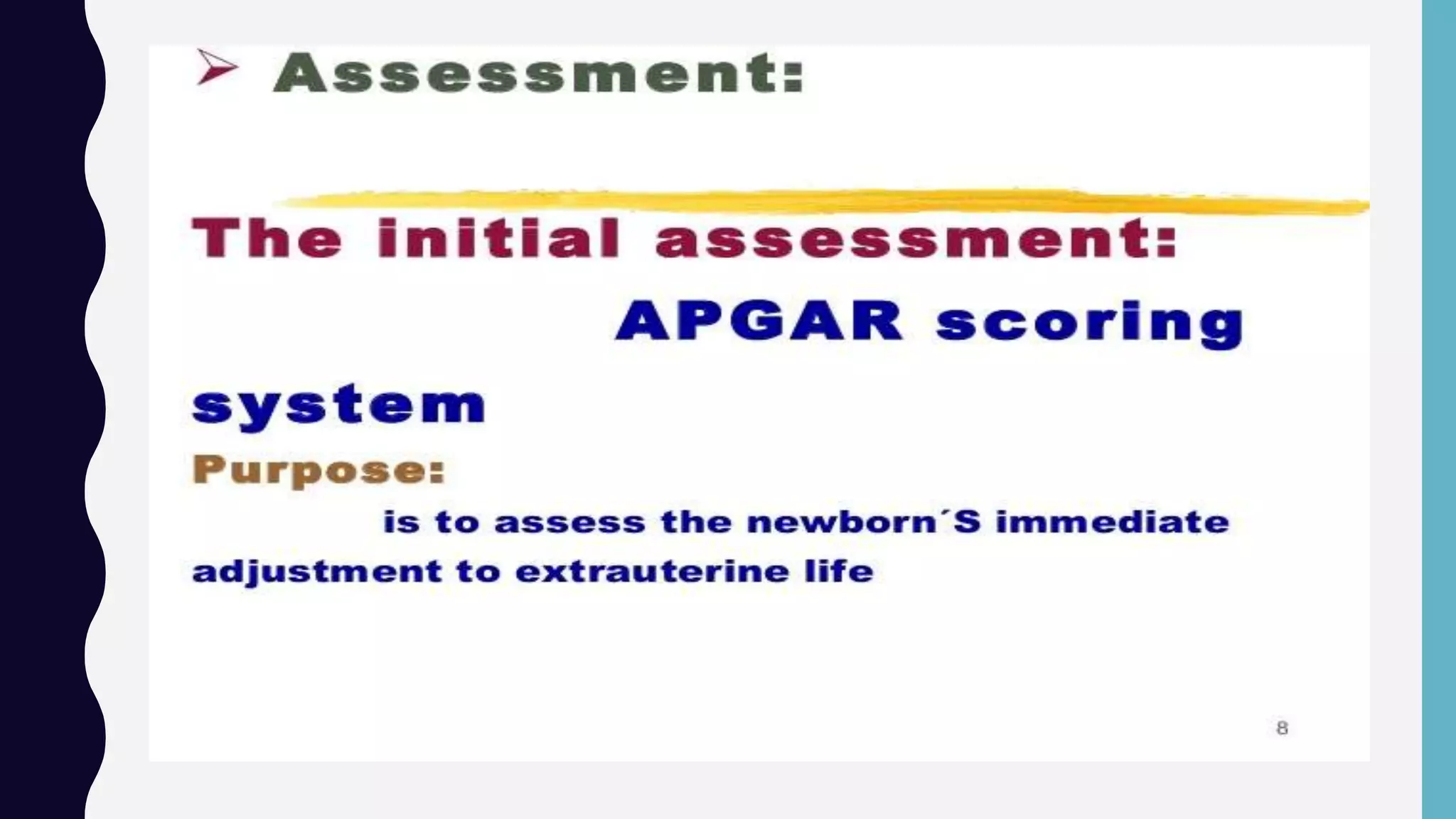 Normal Neonates | PPTX