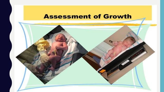 Normal Neonates | PPTX | Pregnancy | Reproductive Health