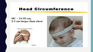 Normal Neonates | PPTX