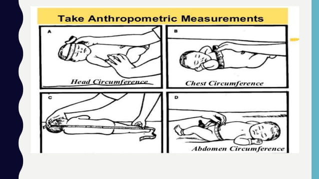 Normal Neonates | PPTX | Pregnancy | Reproductive Health